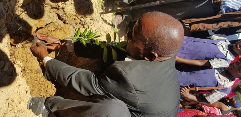 Chikomba Tree planting day commemorations - Human Impact Hub Org